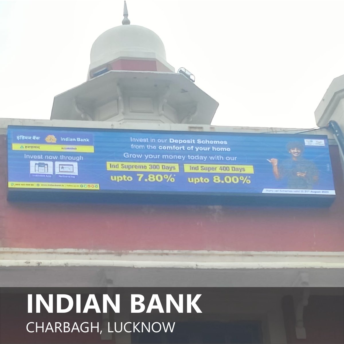 Signz Portfolio - Singz